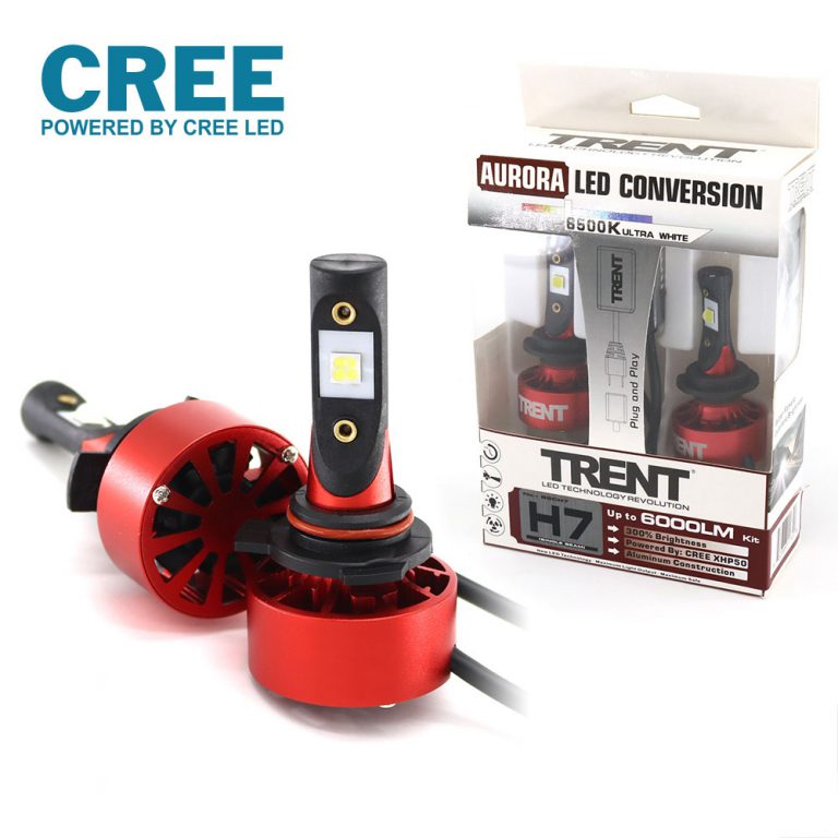 LED Headlight Canbus Decoder 9005 9006 9012 H10 - Trent